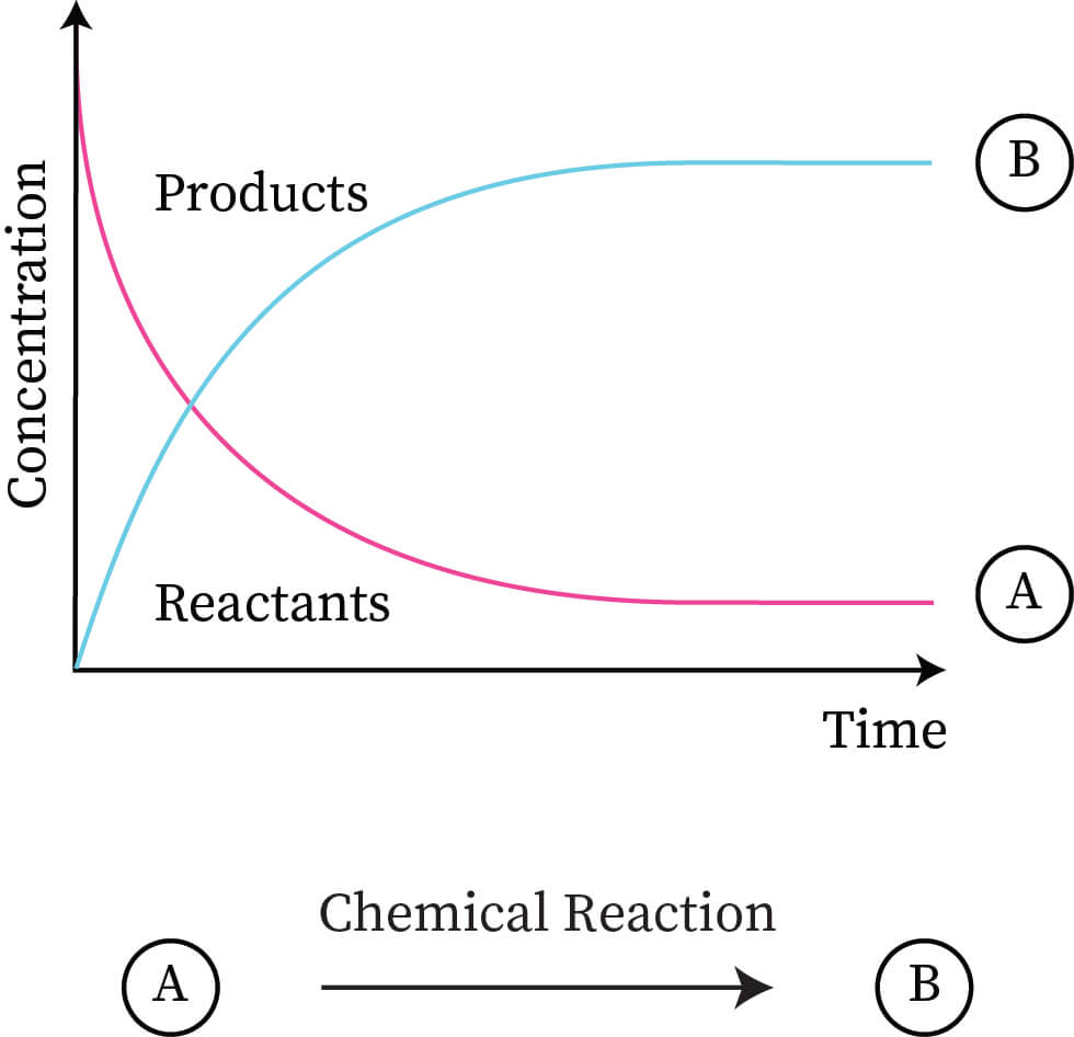 Chemical Kinetics Bartleby