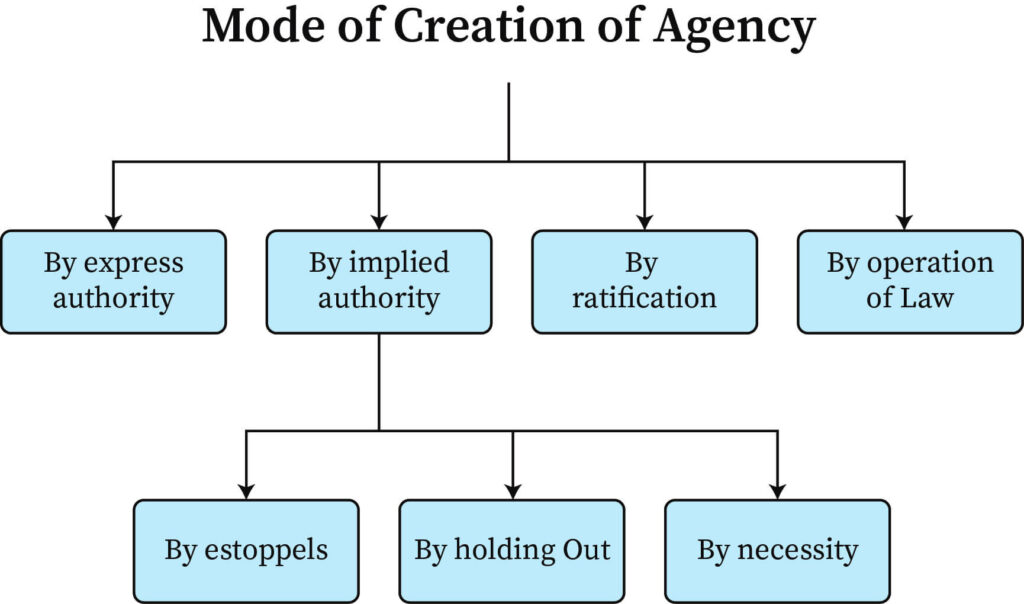 Creation Of An Agency Bartleby