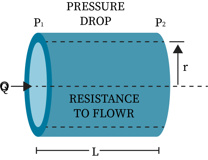 Poiseuille s Law Bartleby