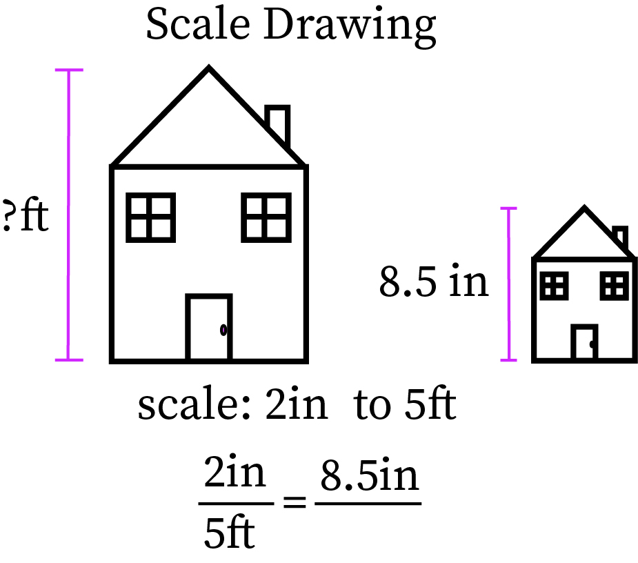 Details More Than 81 Sketch To Scale Best In eteachers