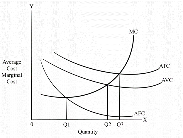 Cost Of Production Bartleby