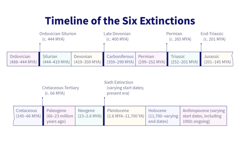 Background from The Sixth Extinction: An Unnatural History | bartleby