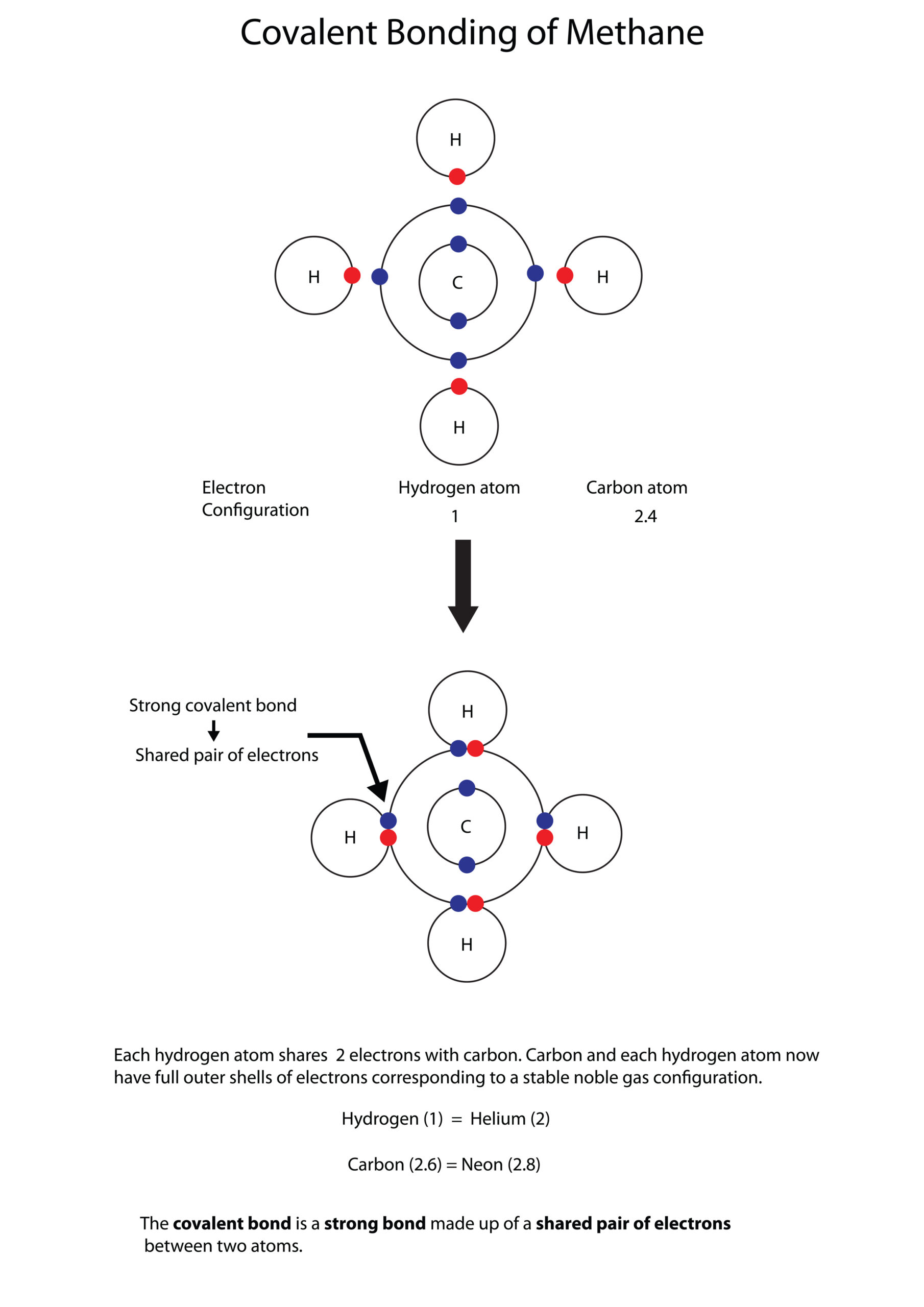 Are Covalent Bonds in CH4 (Methane) Polar or Nonpolar? | Free Expert Q ...