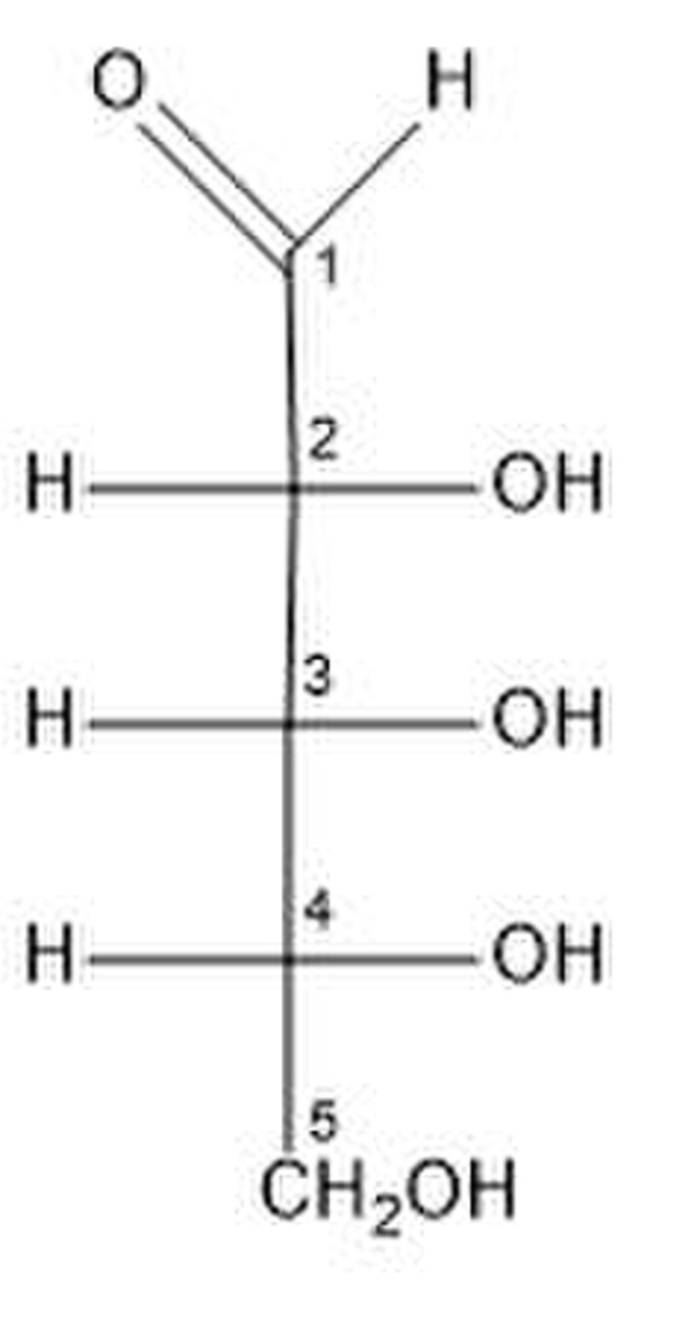 Explain What a Fischer Projection is. | Free Expert Q&A | bartleby
